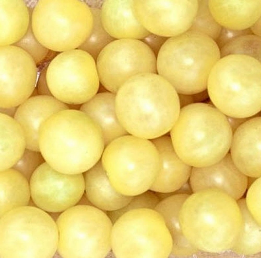 Snow White Cherry Tomato Plant - 2.5" Pot - Very Sweet! - Walmart.com