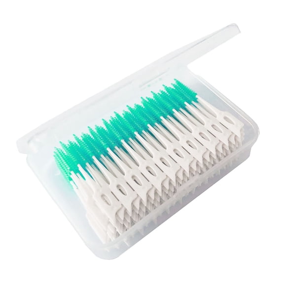 Dental Proxy Brushes