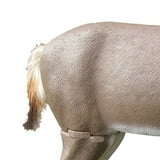 Primos Hunting Scar Deer Decoy, Realistic Movement, Quiet Transport ...