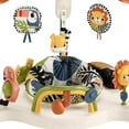Fisher-Price Palm Paradise Bouncer Jumperoo, Baby Jumping Play Activity ...
