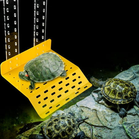 Tortoise Floating Platform, Acrylic Nontoxic Aquarium Basking Platform ...