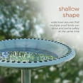 Alpine Corporation 15" x 25" Plastic Scrollwork Bird Bath, Green ...