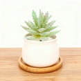 Bookker Lifelike Succulent Faux Succulents For Home Desk Modern ...
