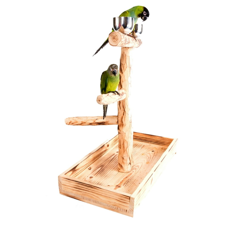 Bird Perch Stand