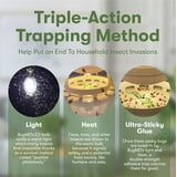 BUGMD Termination Station - Pest Trap for Ants, Cockroaches, Ticks ...