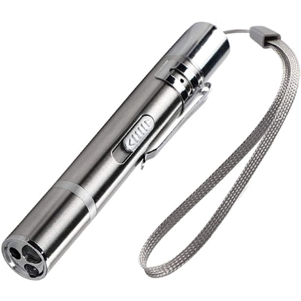 Interactive Cat Wand Toy, Dog Chaser Toy, Rechargeable Cats Dogs ...