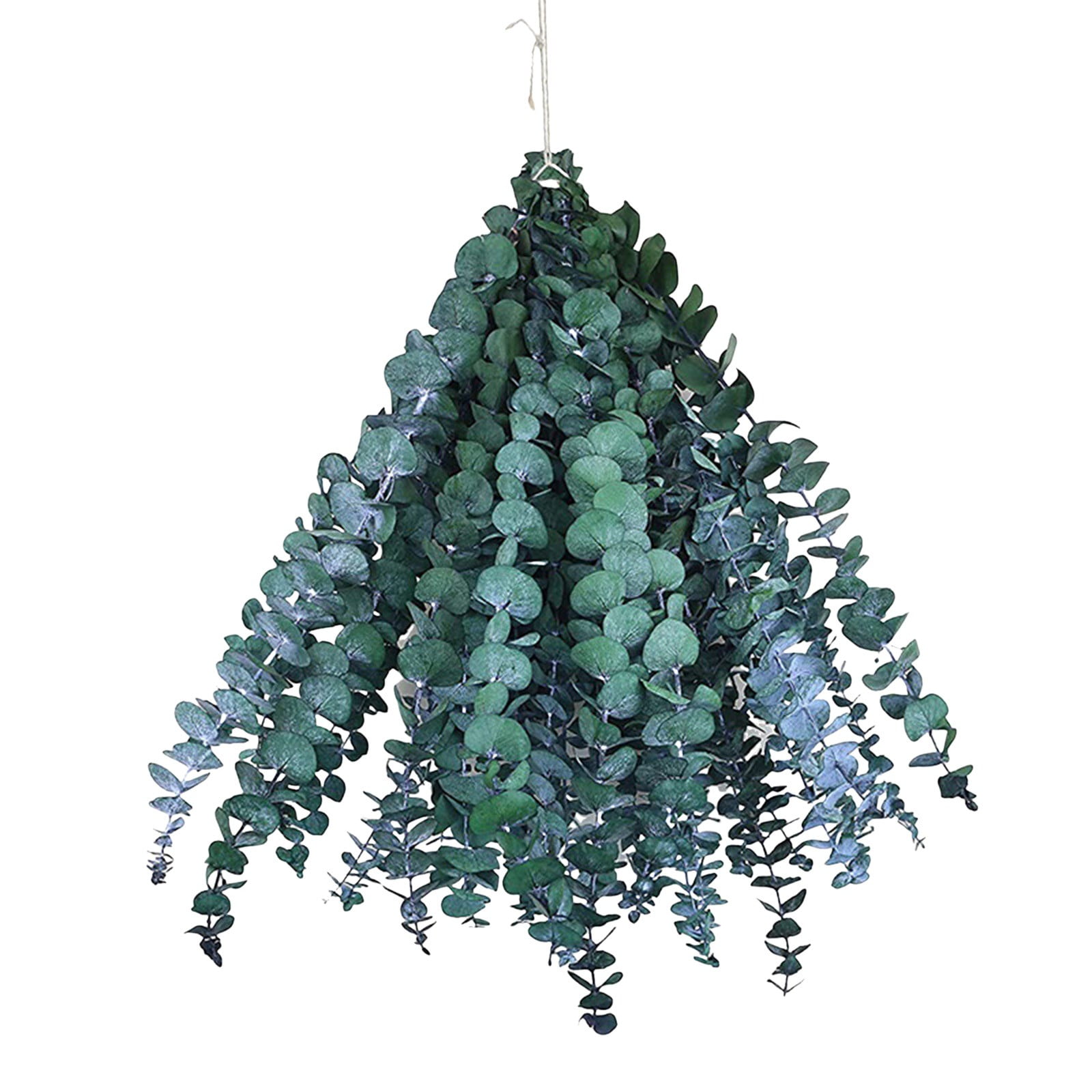 Click here for Visit The Sunlet Store 10 Piece 17 Inch Dried Euca... prices