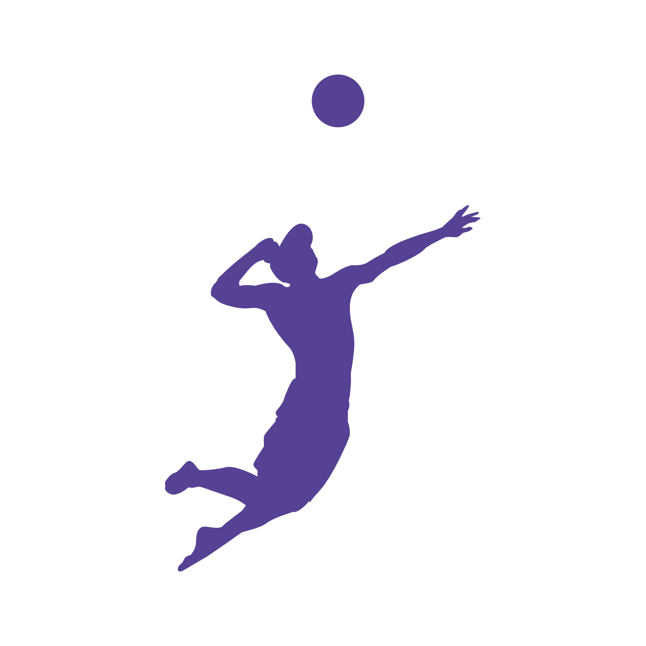 Mens Volleyball Sticker Decal Die Cut - Self Adhesive Vinyl ...