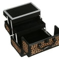SHANY Mini Makeup Train Case With Mirror - Lost Cheetah - Walmart.com