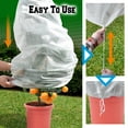 Sunrise Warm Worth Plant Cover and Plant Protecting Bag For Frost ...