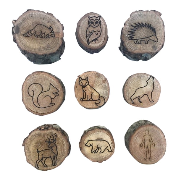 Wood Animals Nature Craft Kits