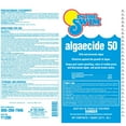 In The Swim Algaecide 50, Black Green Yellow Algae Cleaner, 1 Quart ...