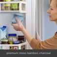 Moso Natural Fridge Deodorizer | Bamboo Charcoal Freezer & Refrigerator ...