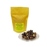 Herbs Etc - Professional Strength Rocky Mountain Osha Root Cough Syrup ...