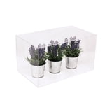 Versatile Deluxe Clear Acrylic Display Case - Medium Rectangle Box with ...