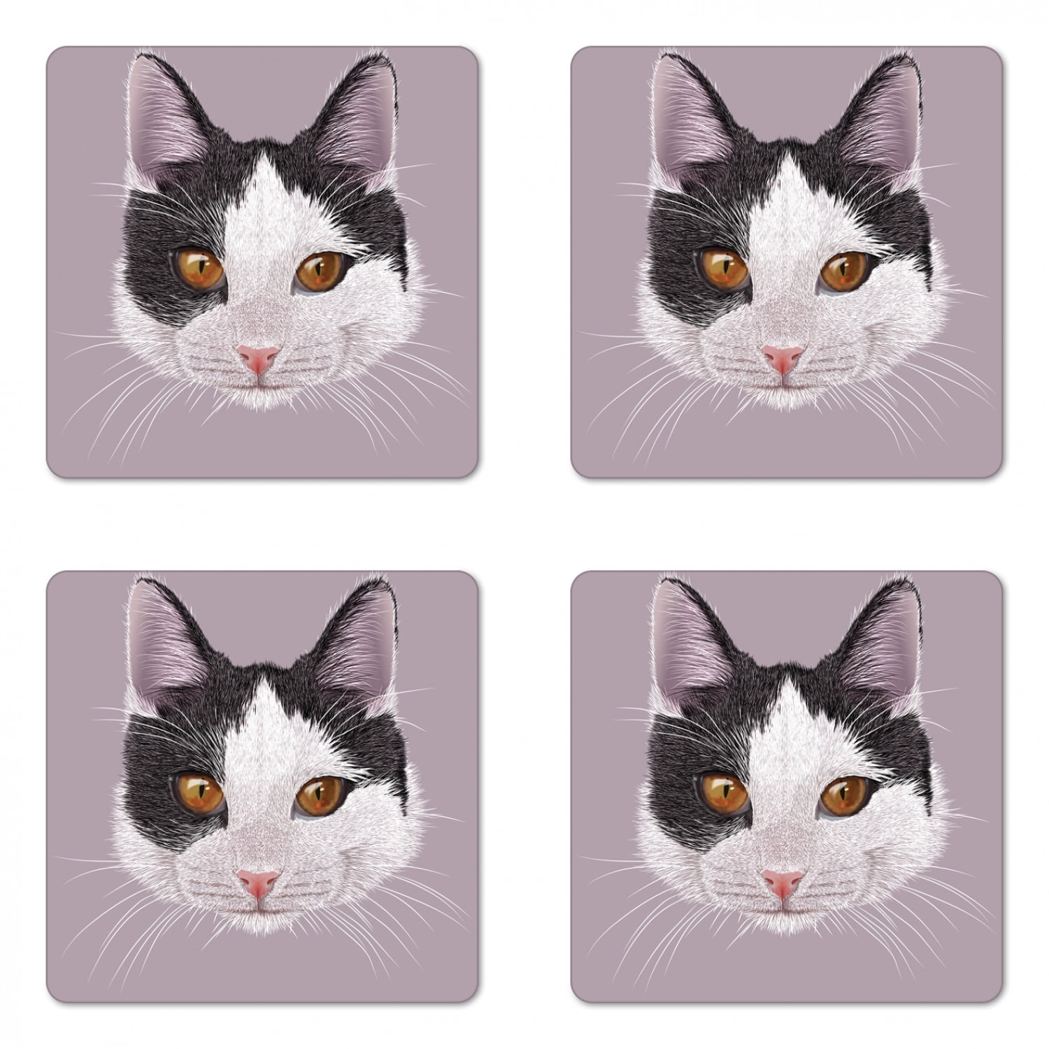 Animal Coaster Set of 4, Cat Kitty Portrait Young Domestic with Funny ...