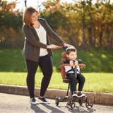 Evolur Cruise Rider Stroller with Canopy, Easy to Carry Travel Stroller ...