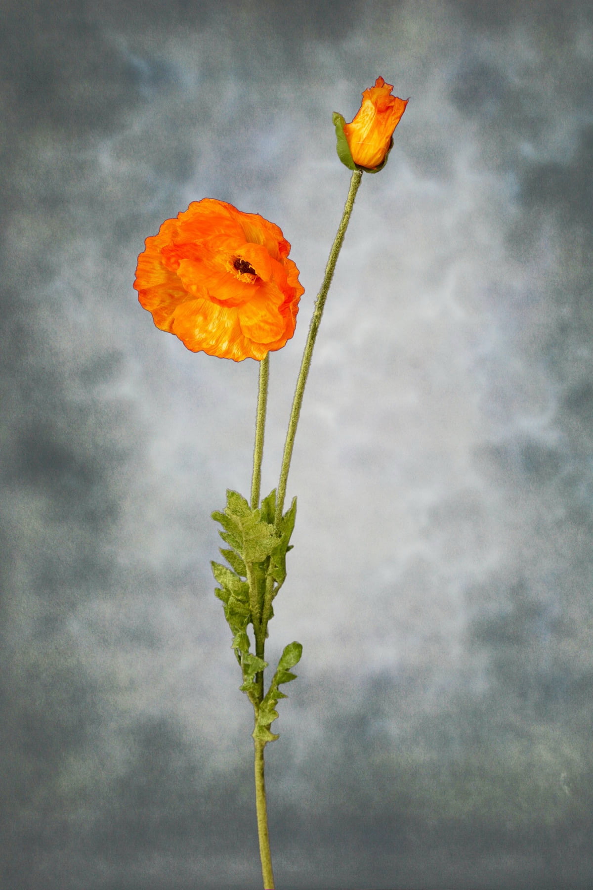 12 Pieces of Tall Silk Orange Poppy Flowers 42 inches - Walmart.com