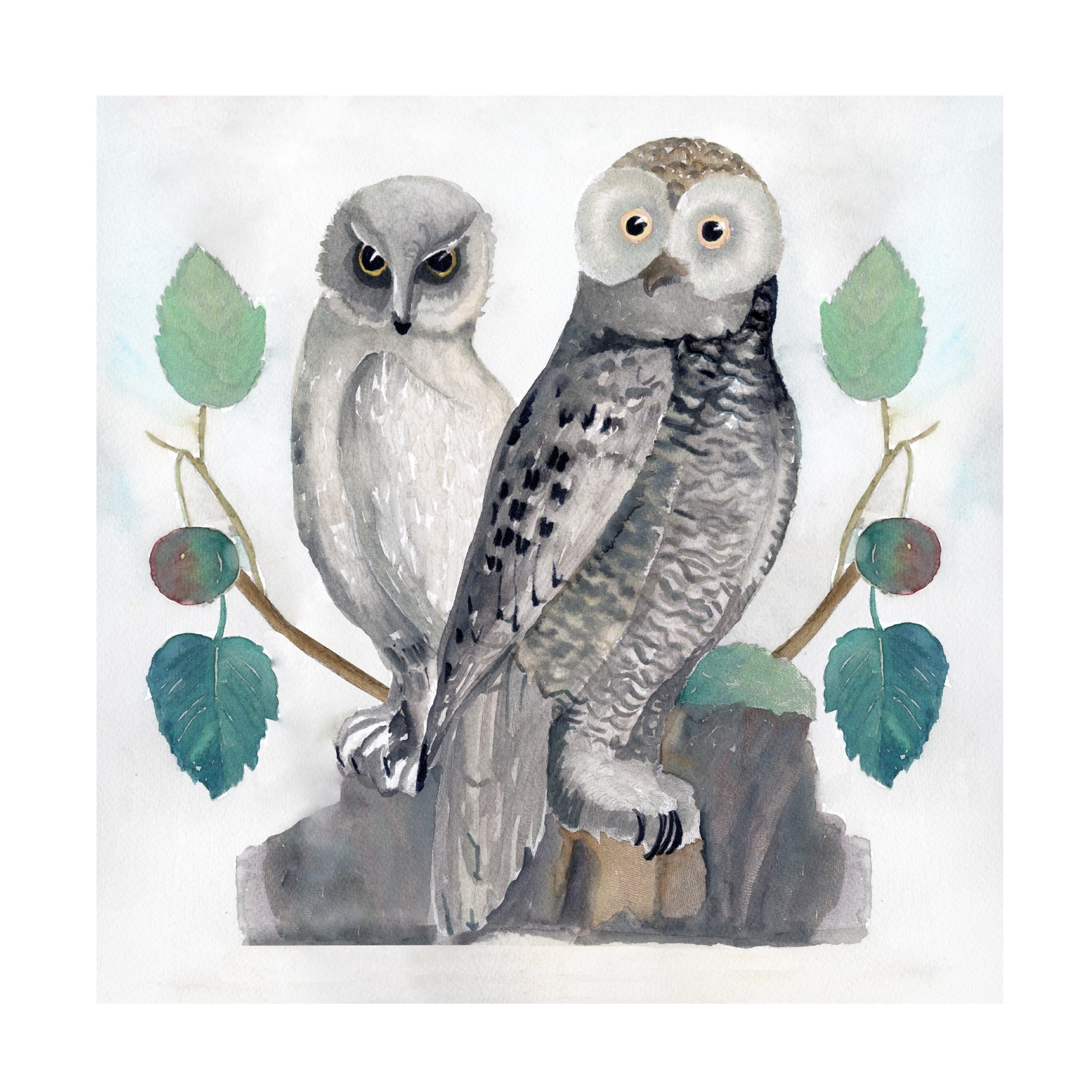 Stellar Design Studio 'Traditional Owls I' Canvas Art - Walmart.com