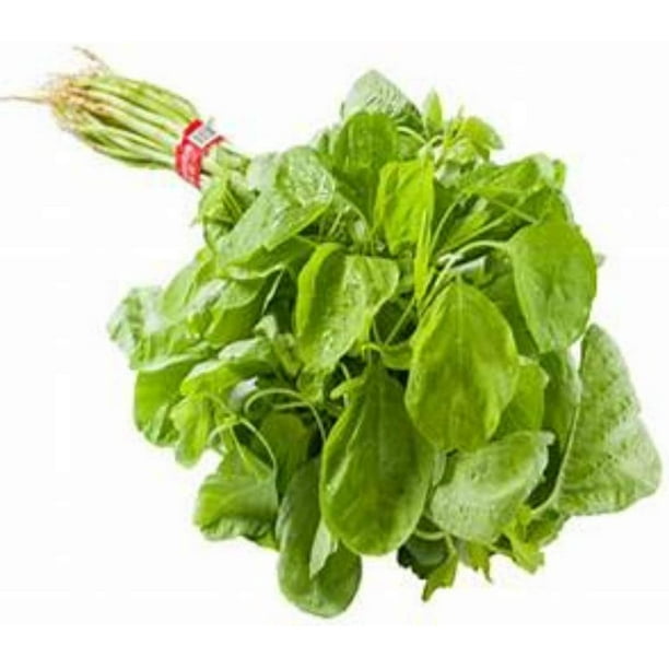 Green Amaranth s - 2000+s - Amaranth s for Planting - Green Leaf ...