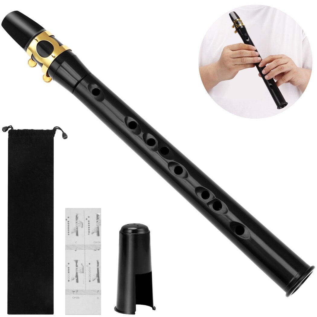 C Key Mini Saxophone Kit, 8-hole Pocket Saxophone, Woodwind Instrument ...