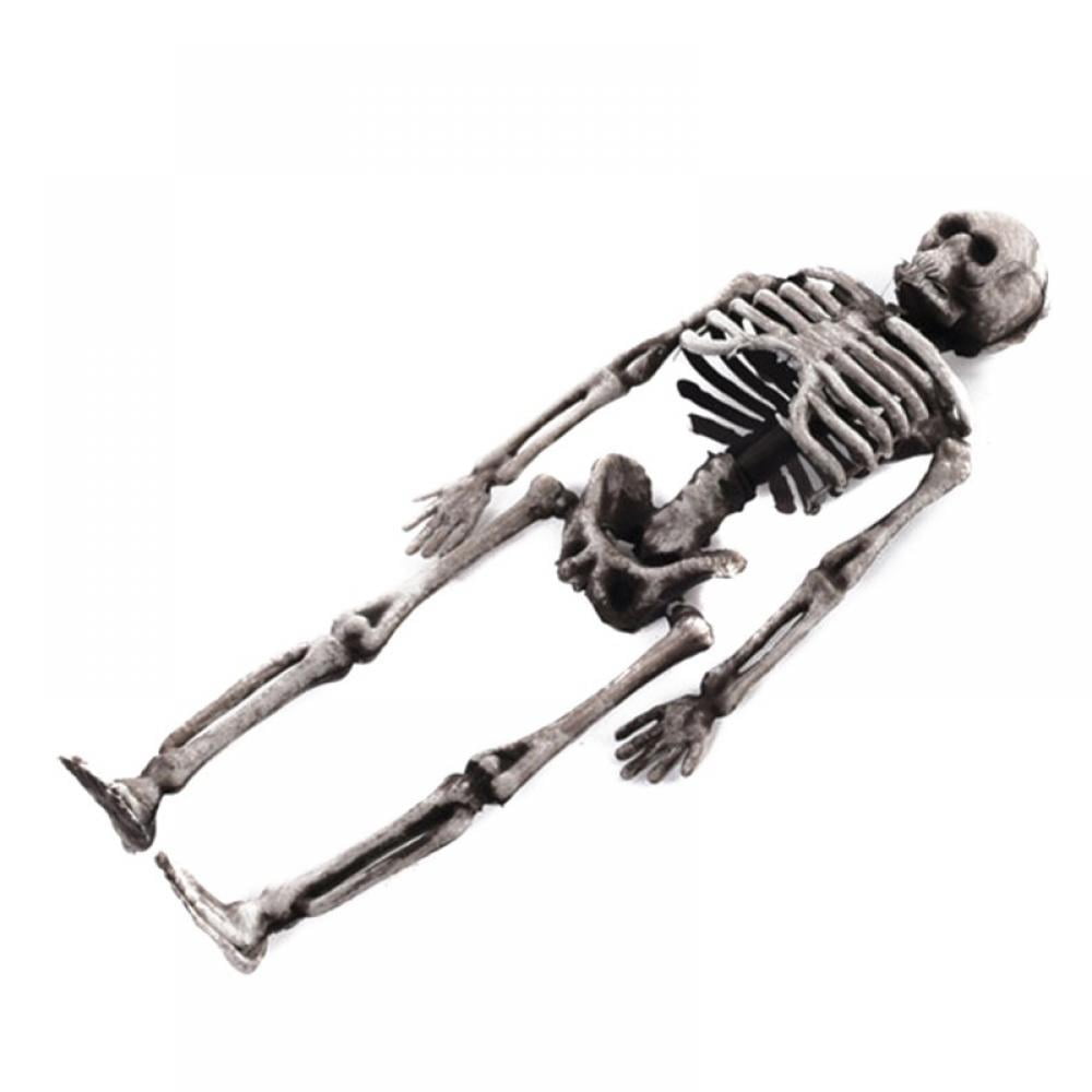 Halloween Mini Skeleton 14cm Full Body Halloween Skeletonsuper Small ...
