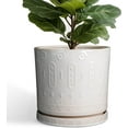Ceramic Pots for Plants - Large Ceramic Planters for Indoor Plants ...