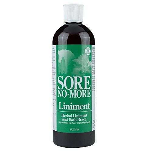 Horse Liniment