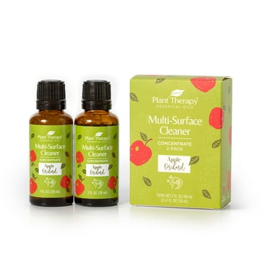 Spic and Span Cinch Glass Cleaner, 32.0 FL OZ - Walmart.com