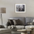 Stupell Industries Majestic White Mare Birch Framed Print Under Glass ...