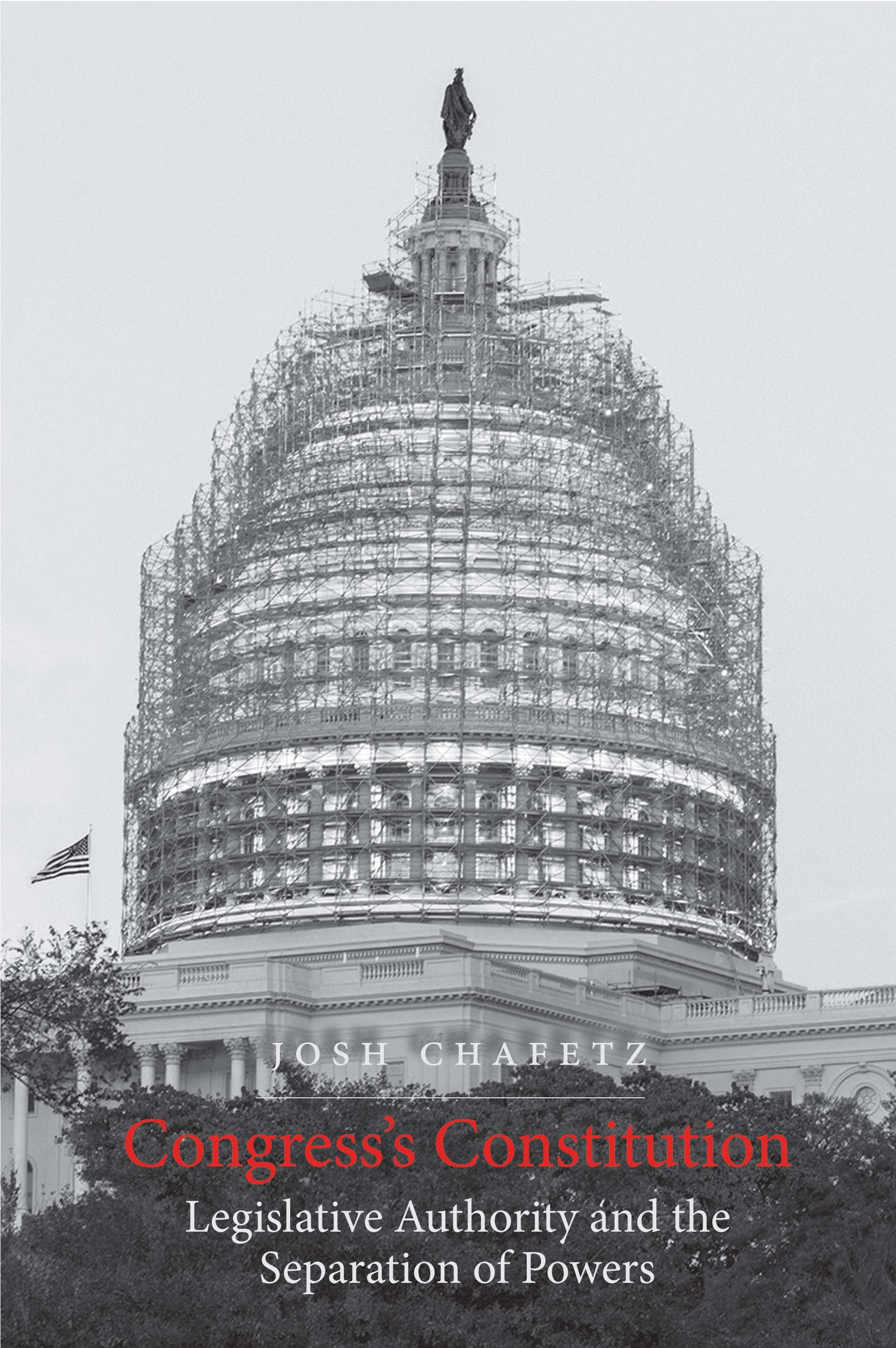Congress's Constitution : Legislative Authority and the Separation of ...
