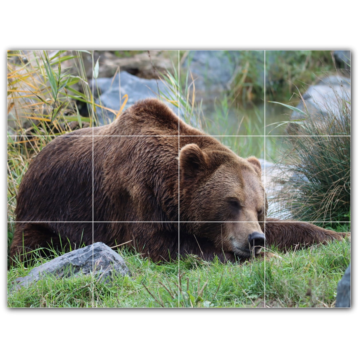 Picture-Tiles.com: Bear Ceramic Tile Wall Mural WAL500124-43M. 24"W x ...