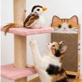 NEXAVKPR Electric Flapping Bird Plush Toy Cats with Chirping Sound to ...