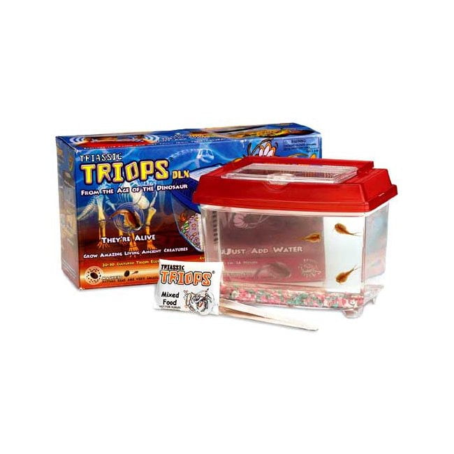 Triops Kit