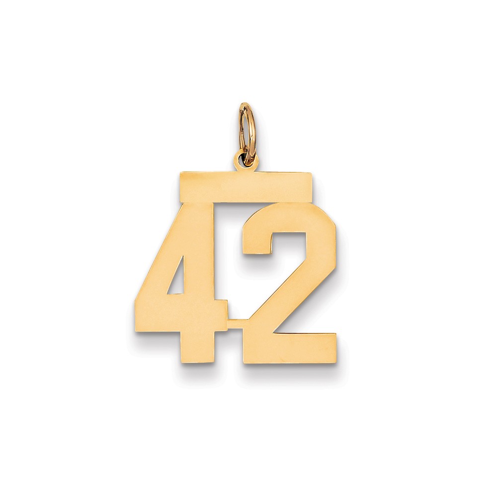 Real 14kt Yellow Gold Medium Polished Number 42 Charm Pendant; for ...