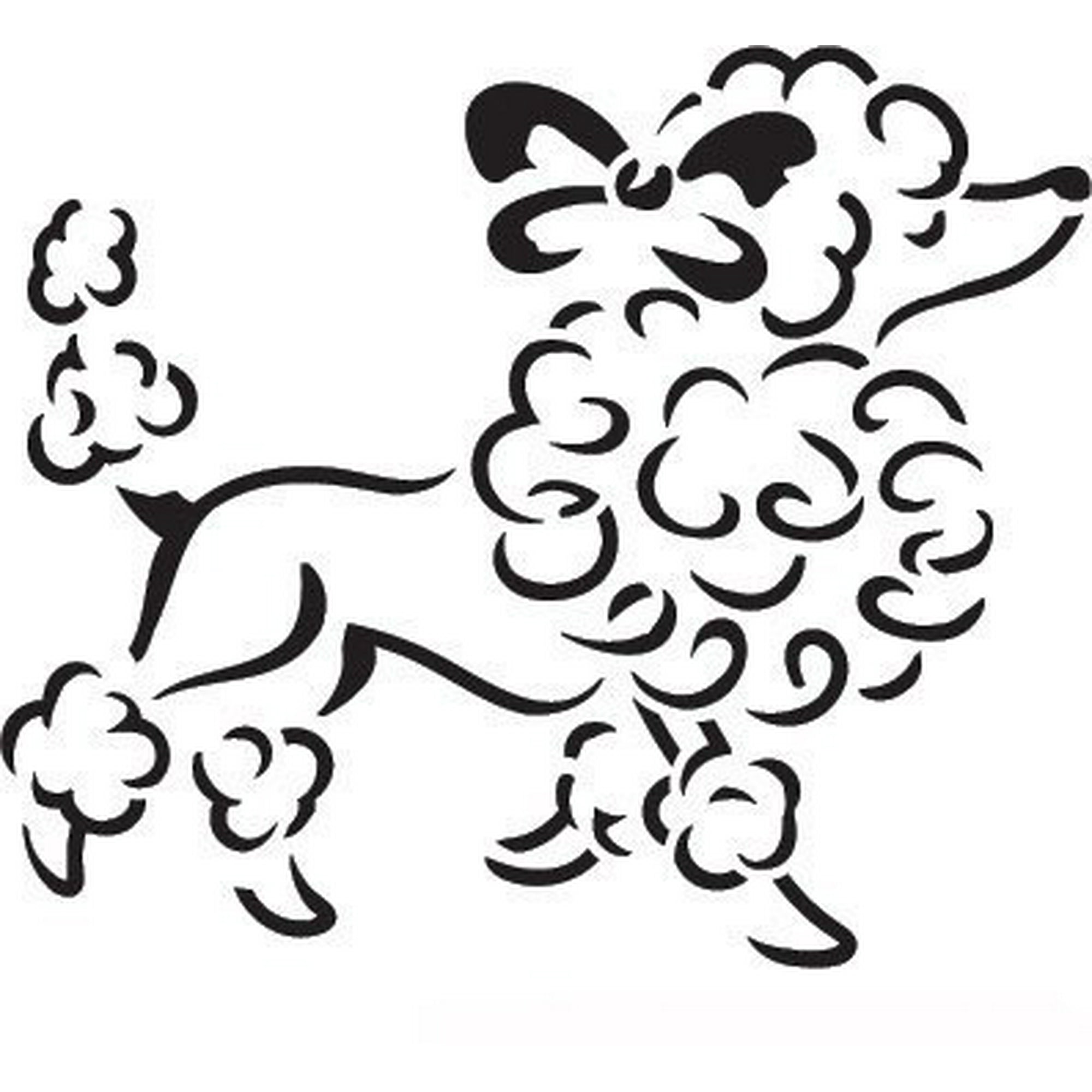 French Poodle Drawing
