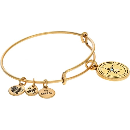 Alex and Ani Path of Symbols Expandable Bangle for Women, Sand Dollar Charm, Rafaelian Gold ...