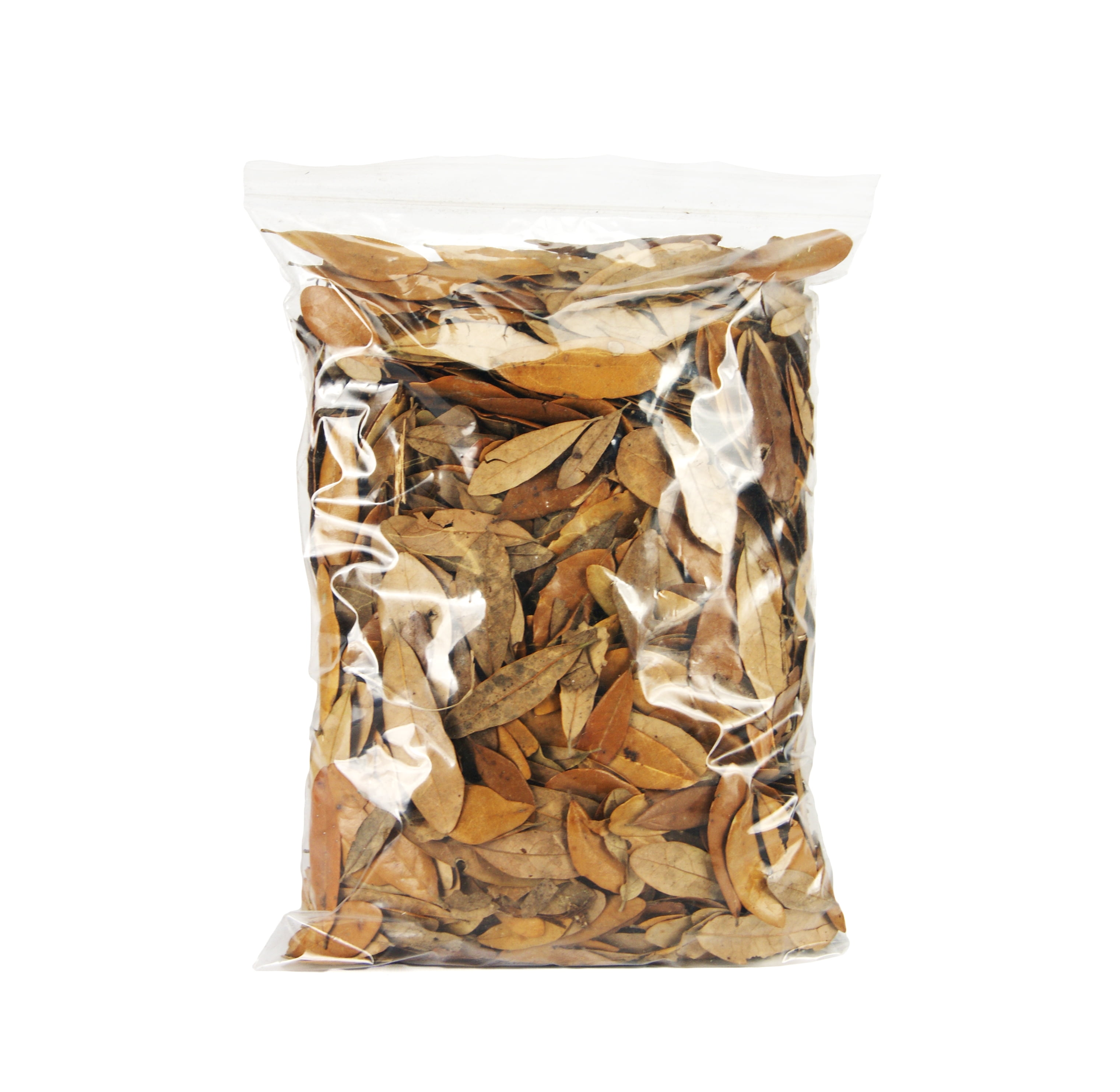 Live Oak Leaf Litter (1 Gallon) - Walmart.com