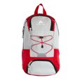 Ozark Trail 20L Thomas Hollow Backpack with Insulated Cooler Pocket ...
