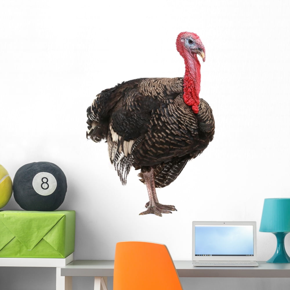 Turkey Wall Decal Sticker by Wallmonkeys Vinyl Peel and Stick Graphic ...