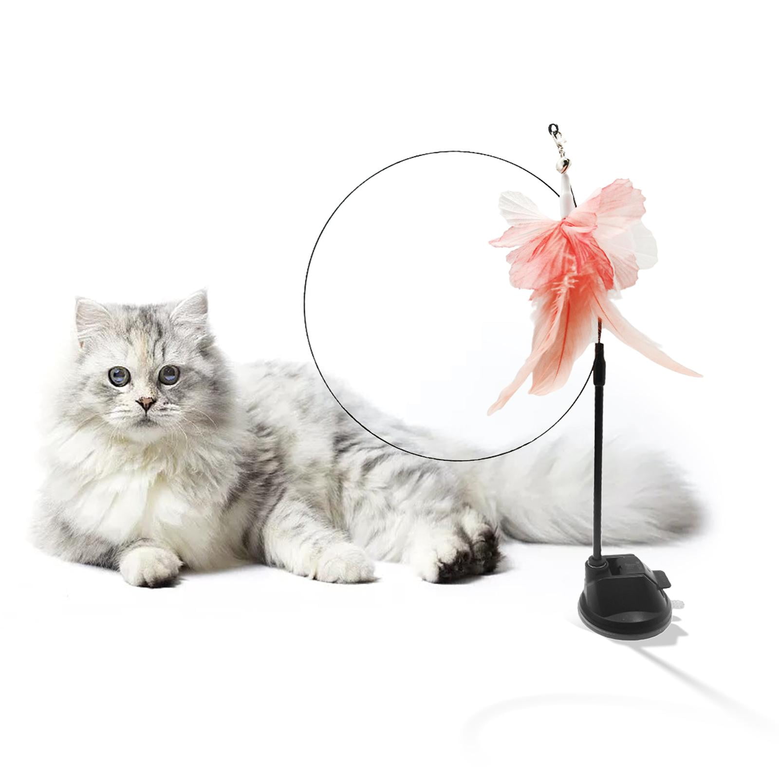 Funny cat Toy Long Pole with Suction Cup Bells Toy for Orange - Walmart.com