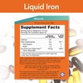 (2 pack) Liquid Iron, 8 fl oz (237 ml), by NOW Foods - Walmart.com