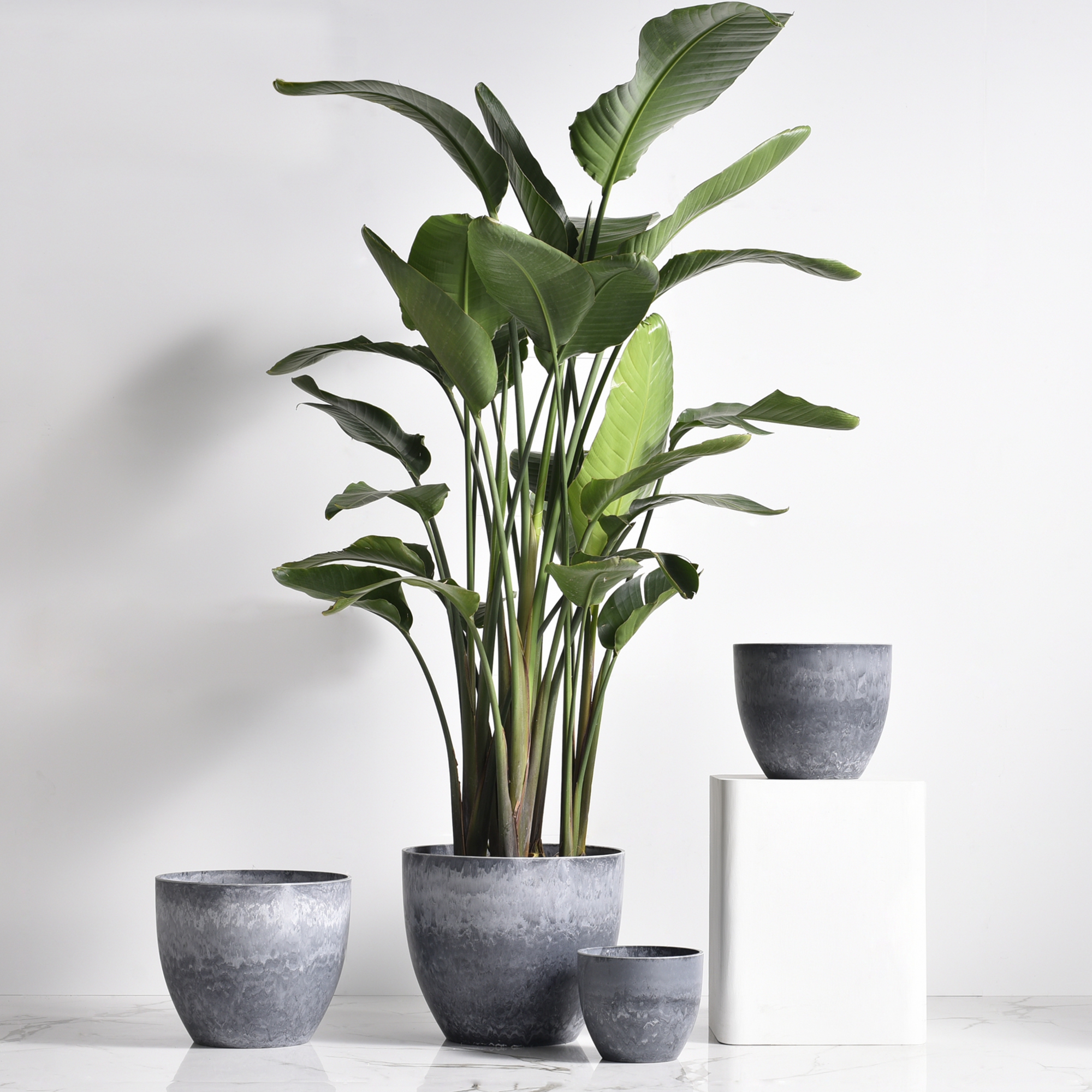 Higold 10 6 Inch Plastic Plant Pot Round Garden Pot Plant Container Higold 10 6 Inch Plastic Plant Pot Round Garden Pot Plant Container