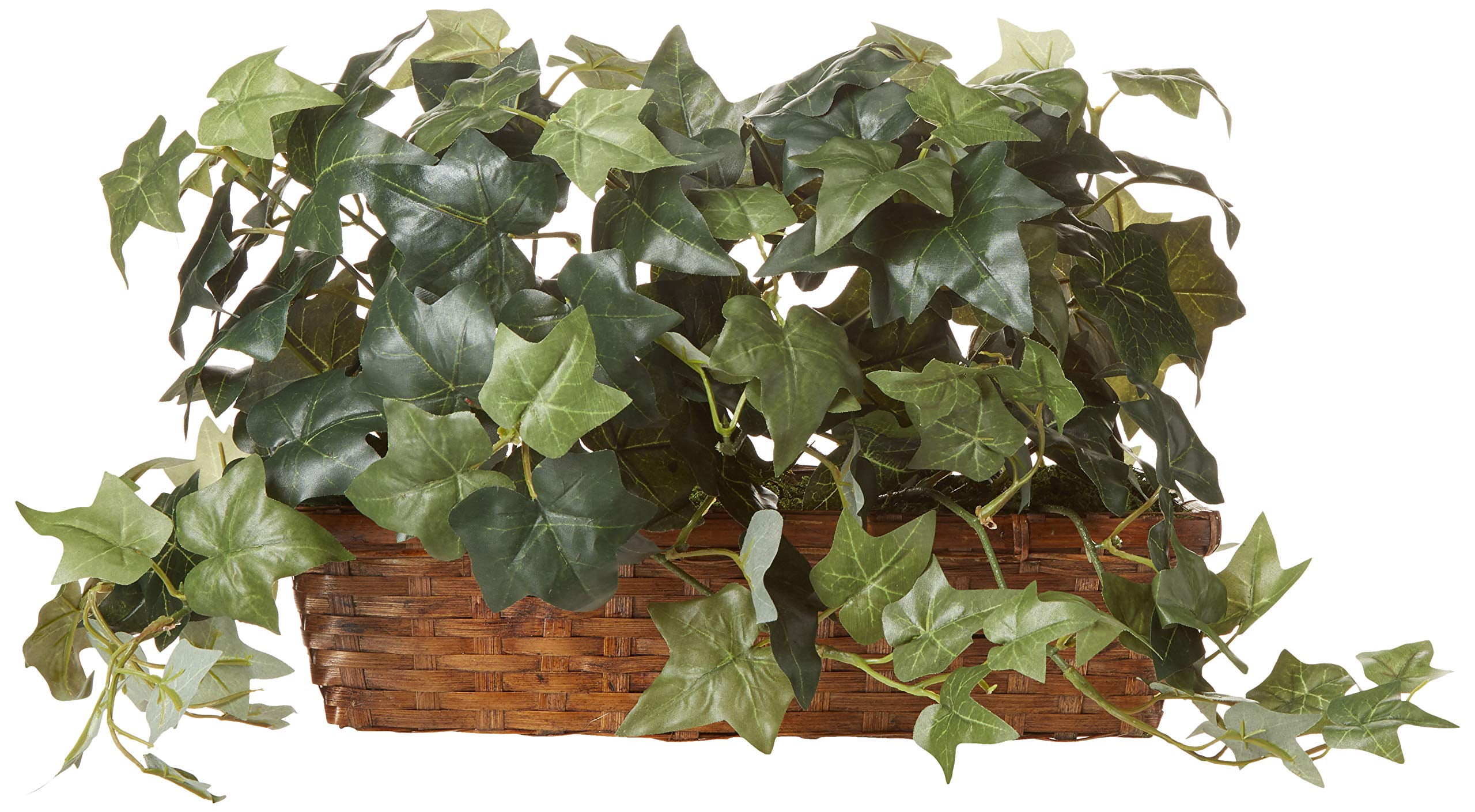 Planta de seda, hiedra casi natural, con cesta con repisa, 32 cm ...