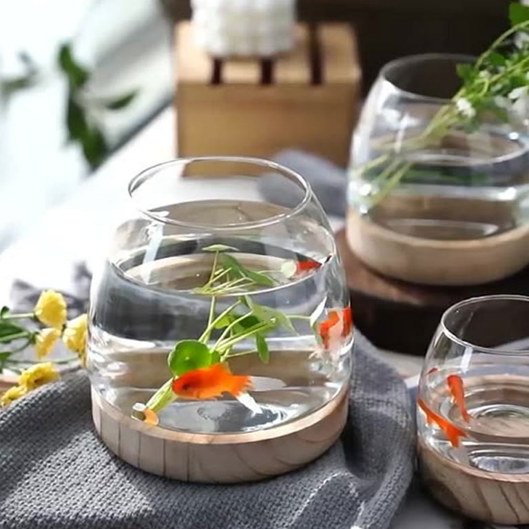 Modern Fish Bowls