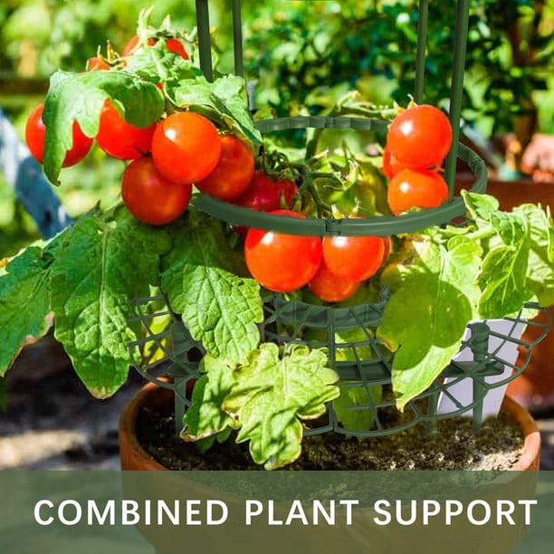 Melon Cradle Combination Plant Support Reusable Squash Support Rack ...
