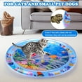 Cat Water Mat for Cats, Upgraded-Thicken Unbreakable Cat Splash Play ...