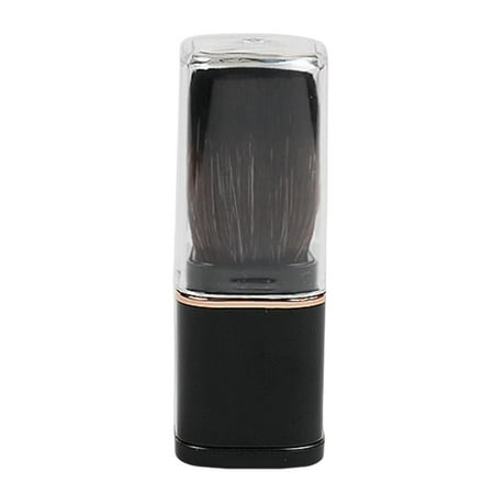 Professional Retractable Makeup Brush/ Small with Cover Blush Brush ...