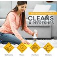 Pet Stain and Odor Remover - Pet Odor Eliminator for Home and ...