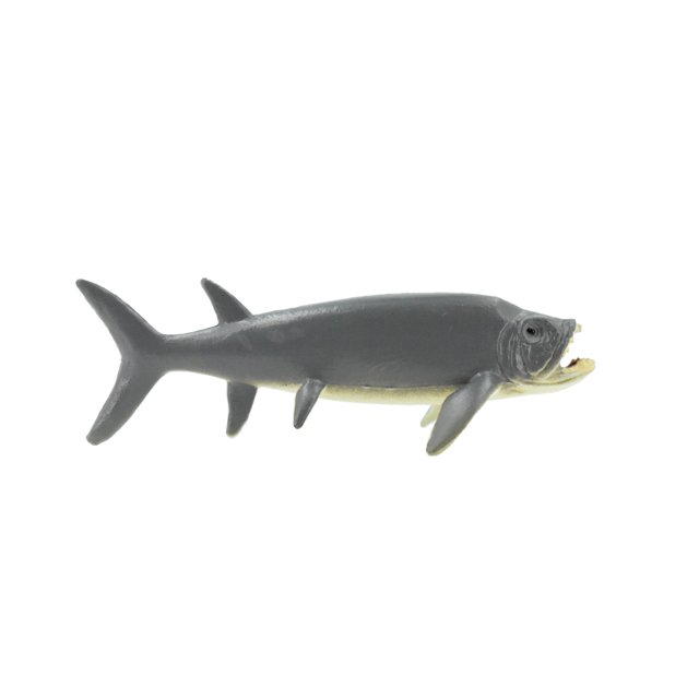 Xiphactinus, Extinct Fish, Fanged Tarpon, Rubber Animal, Realistic Toy ...
